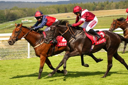 250 Stewards enquiry Stock Pictures, Editorial Images and Stock Photos ...