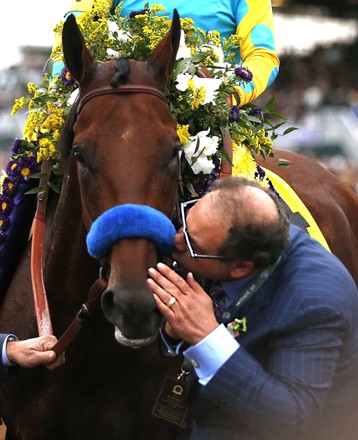 Ahmed Zayat Owner American Pharaoh Gives Editorial Stock Photo - Stock ...