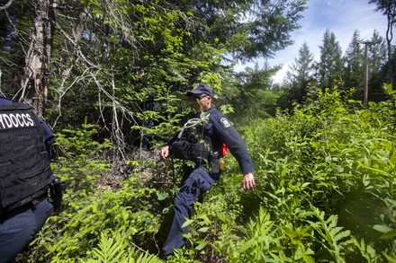 Law Enforcement Personnel Search Wooded Area Editorial Stock Photo ...