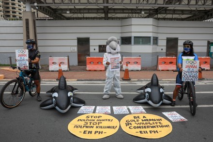 Environmentalists Hold Protest Against Dolphin Hunting Editorial Stock ...