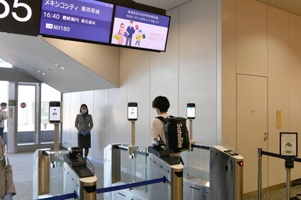 Passenger Ana Flight Nh180 Mexico City Editorial Stock Photo - Stock ...