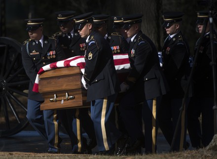 66 5th special forces group Stock Pictures, Editorial Images and Stock ...