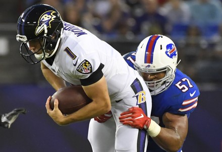 Buffalo Bills Running Back Brandon Reilly Editorial Stock Photo - Stock ...