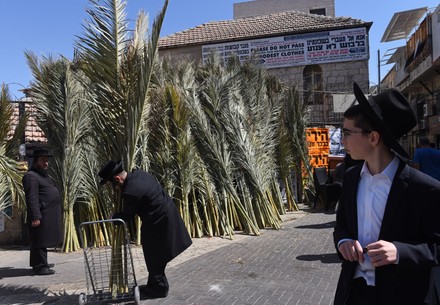 Ultraorthodox Jew Places Palm Branches Cart Editorial Stock Photo ...