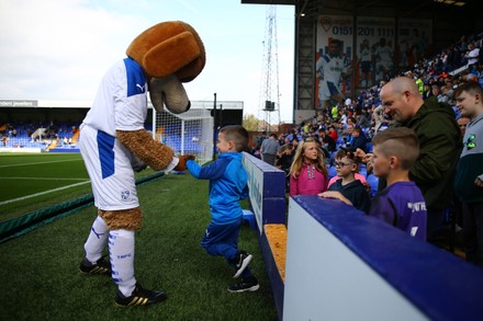 Young Tranmere Fans Mascot Editorial Stock Photo - Stock Image ...