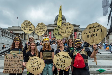 Climate Activists Extinction Rebellion Dressed Bees Editorial Stock ...