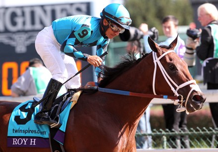 Jockey Paco Lopez Celebrates After Riding Editorial Stock Photo - Stock ...