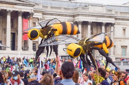 Protesters Hold Giant Bees During Demonstration Editorial Stock Photo ...
