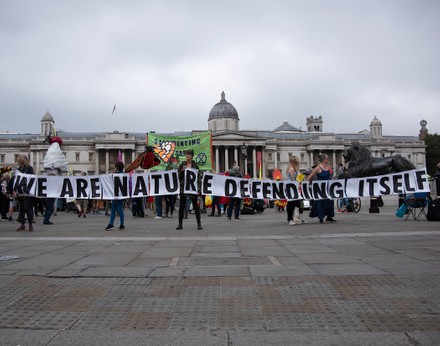 10 We are nature defending itself Stock Pictures, Editorial Images and ...