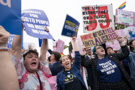 60 Lgbtq protection Stock Pictures, Editorial Images and Stock Photos ...