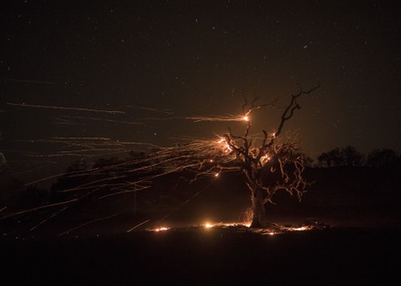 Burned Out Tree Sends Off Wind Editorial Stock Photo - Stock Image ...