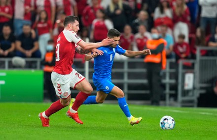 Bebras Natcho Israel During Denmark Against Editorial Stock Photo ...