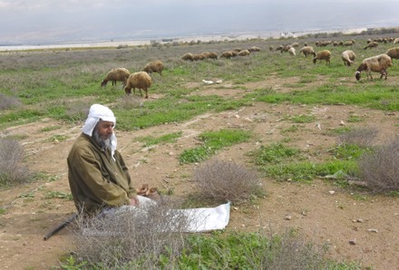 89 Arab shepherd Stock Pictures, Editorial Images and Stock Photos ...