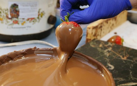 Candy Maker Mickey Regan Dips Strawberry Editorial Stock Photo - Stock ...