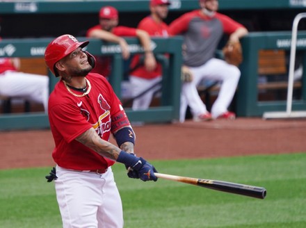 Cardinals Spring Training, St. Louis, Missouri, United States - 03 Jul ...