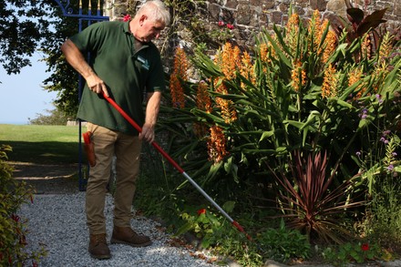 Head Gardener Tending Plants Editorial Stock Photo - Stock Image ...