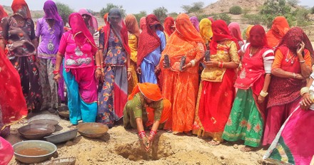 Women Plant Tree On Khejdli Sacrifice Editorial Stock Photo - Stock ...