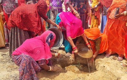 Women Plant Tree On Khejdli Sacrifice Editorial Stock Photo - Stock ...