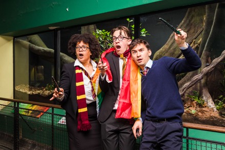 Cast Dumbledore Gay Charlotte Dowding Alex Editorial Stock Photo ...