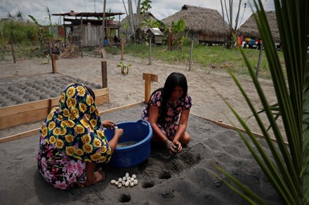 Group Kandozi Women Musa Karusha Community Editorial Stock Photo ...