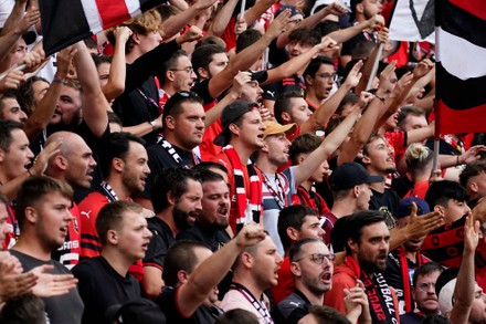 Rennes Fans Editorial Stock Photo - Stock Image | Shutterstock