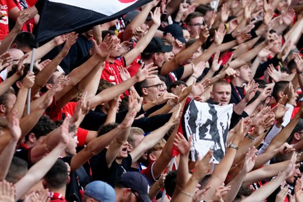Rennes Fans Editorial Stock Photo - Stock Image | Shutterstock