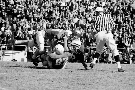 Navy Quarterback Roger Staubach Getting Sacked Editorial Stock Photo ...
