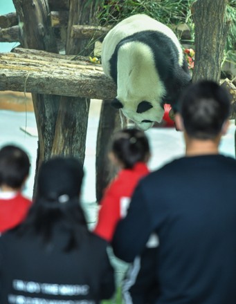 210919 Xining Sept 19 2021 Xinhua Editorial Stock Photo - Stock Image ...
