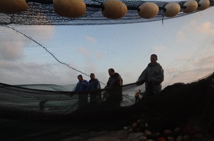 Palestinian Fishermen Work On Shore Mediterranean Editorial Stock Photo ...