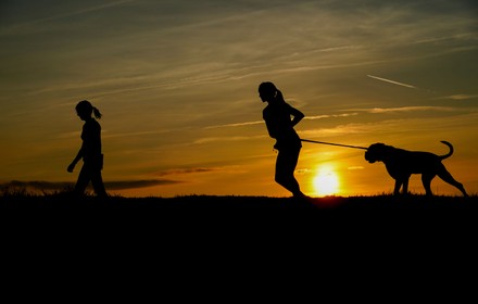 Sunset Box Hill Editorial Stock Photo - Stock Image | Shutterstock