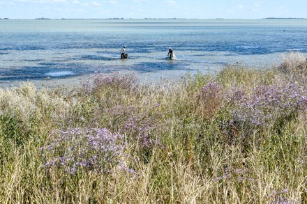 Syvash Known Putrid Sea Rotten Sea Editorial Stock Photo - Stock Image ...