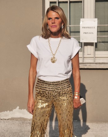 Italian Journalist Anna Dello Russo Editorial Stock Photo - Stock Image ...