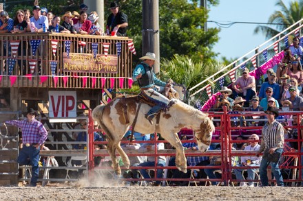 69 Harris field park Stock Pictures, Editorial Images and Stock Photos ...