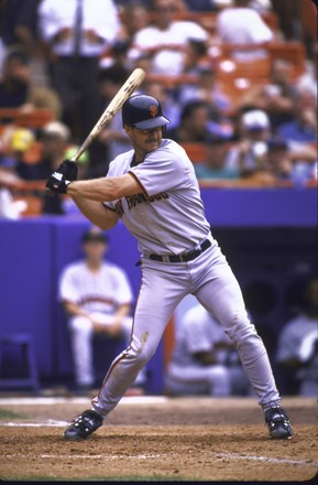 Baseball Sf Giants Jeff Kent 21 Editorial Stock Photo - Stock Image ...