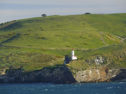 12 Otaga peninsula Stock Pictures, Editorial Images and Stock Photos ...