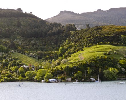 12 Otaga peninsula Stock Pictures, Editorial Images and Stock Photos ...