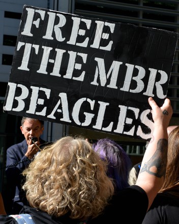 Protester Holds Placard During Free Mbr Editorial Stock Photo - Stock ...