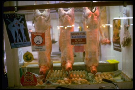 British Butcher Shop Window Hung W Editorial Stock Photo - Stock Image ...