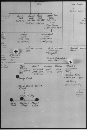 Canada January 01 Family Tree Frohnmayer Editorial Stock Photo - Stock ...