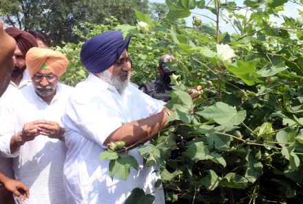 Shiromani Akali Dal Chief Sukhbir Singh Editorial Stock Photo - Stock Image | Shutterstock