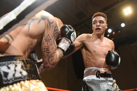 Shamrock Boxing Promotions Show, Boxing, Corn Exchange, Bedford, UK ...