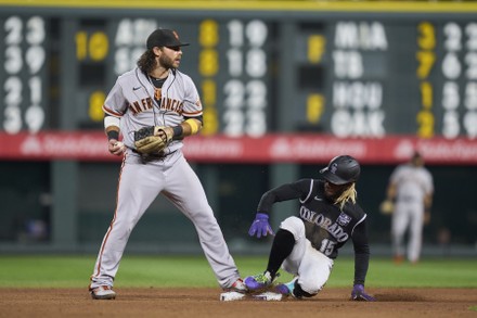 San Francisco Pitcher Tyler Rodgers 71 Editorial Stock Photo - Stock Image | Shutterstock