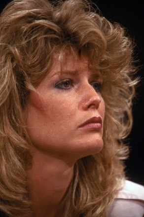 Fawn Hall, Washington, District of Columbia, USA Stock Pictures ...