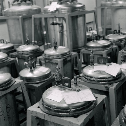 Closeup Chemical Tanks Mixtures Process Polaroid Editorial Stock Photo ...