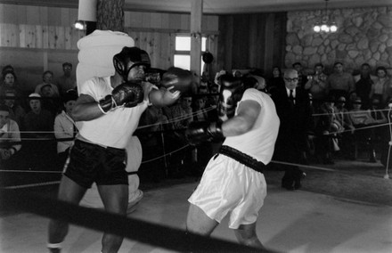 Professional Boxer Rocky Marciano Punching Punchbag Editorial Stock ...
