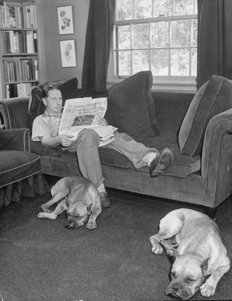 Novelist Louis Bromfield Working His Study Editorial Stock Photo ...
