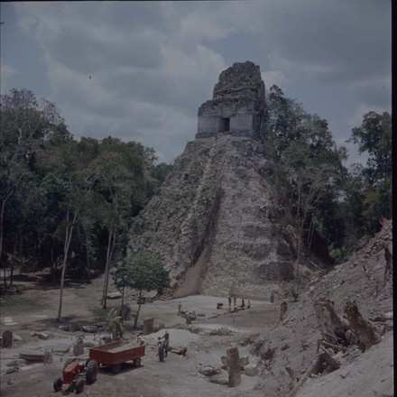 Aerial View Ruins Rainforest Tikal Guatemala Editorial Stock Photo ...