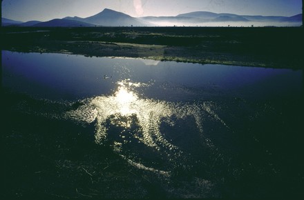 Enipeus River Near Battlefield Pharsalus Greece Editorial Stock Photo ...