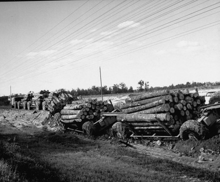 Dust Covered Bleak Land Stretches Distance Editorial Stock Photo ...