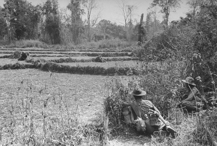 British Soldiers Wingates Raiders Scouting Behind Editorial Stock Photo ...